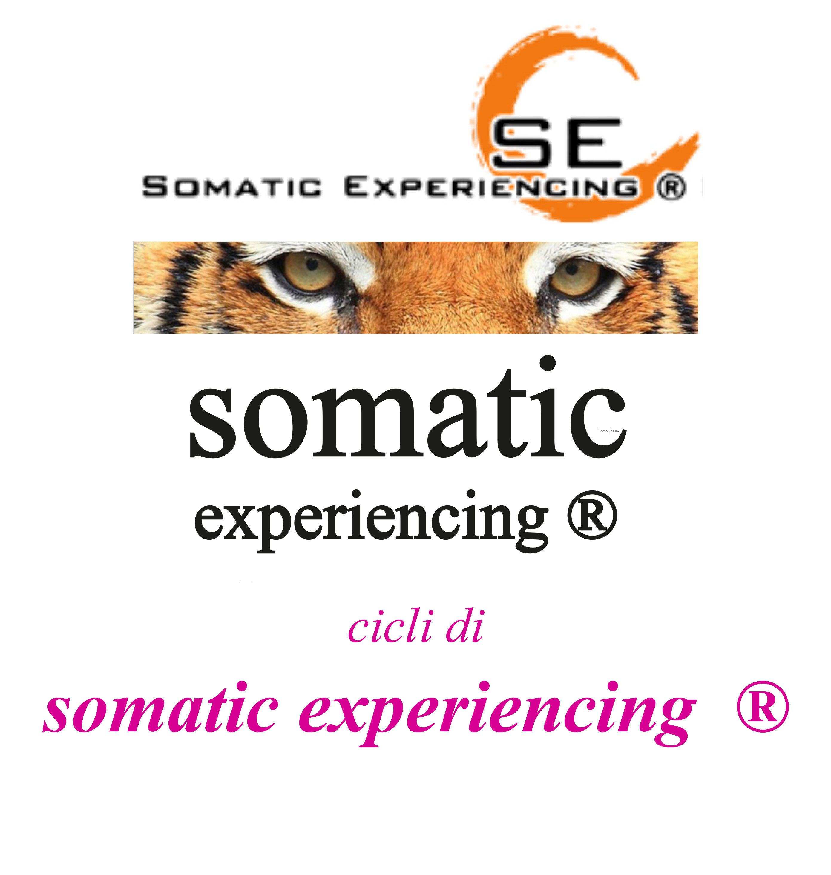 Paoki.it | cicli di somatic experiencing